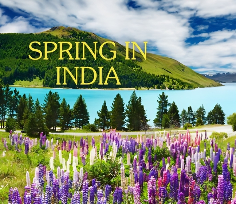 Exploring the Best 5 Places to Visit in India During the Vibrant Spring ...